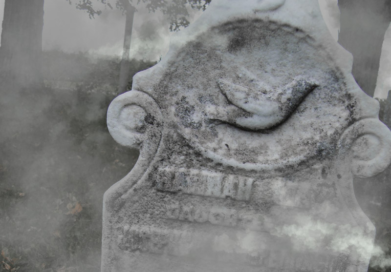 New England Vampire Panic, A Tale We Can’t Pass Up